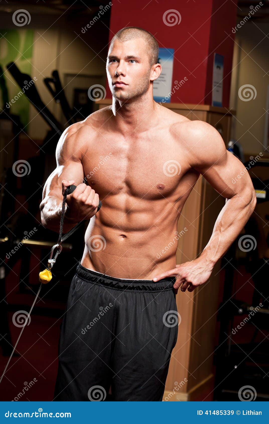 Gym workout. stock image. Image of fitness, portrait - 41485339