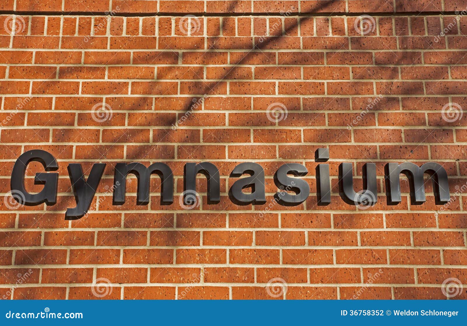 Gymnasium Sign on Brick Wall Stock Photo - Image of fitness, building ...