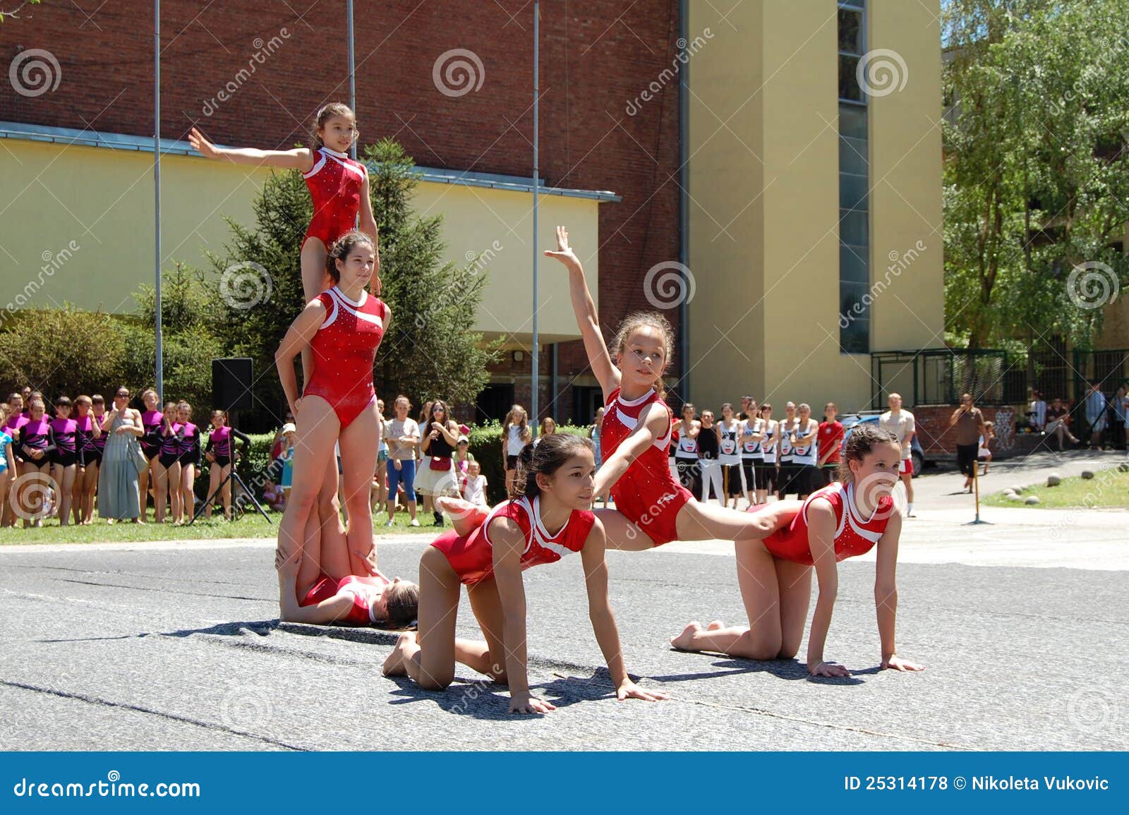 Gymnastics Event in Novi Sad Editorial Stock Photo - Image of sport ...