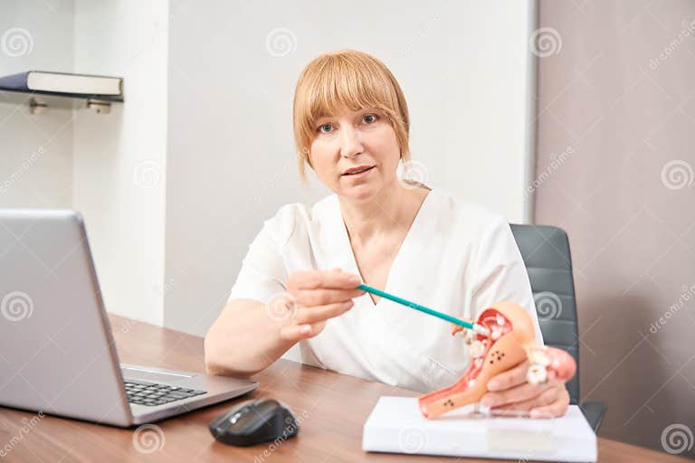Gynecologist Explaining The Structure Of Female Reproductive System