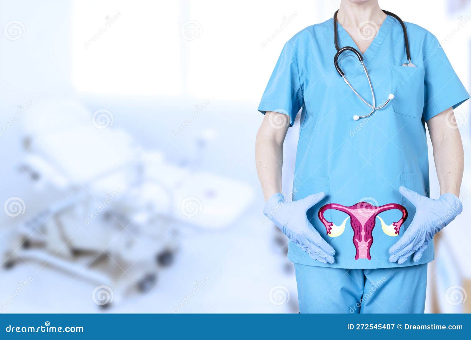 Gynecologist And A Model Of The Reproductive System Of A Woman The