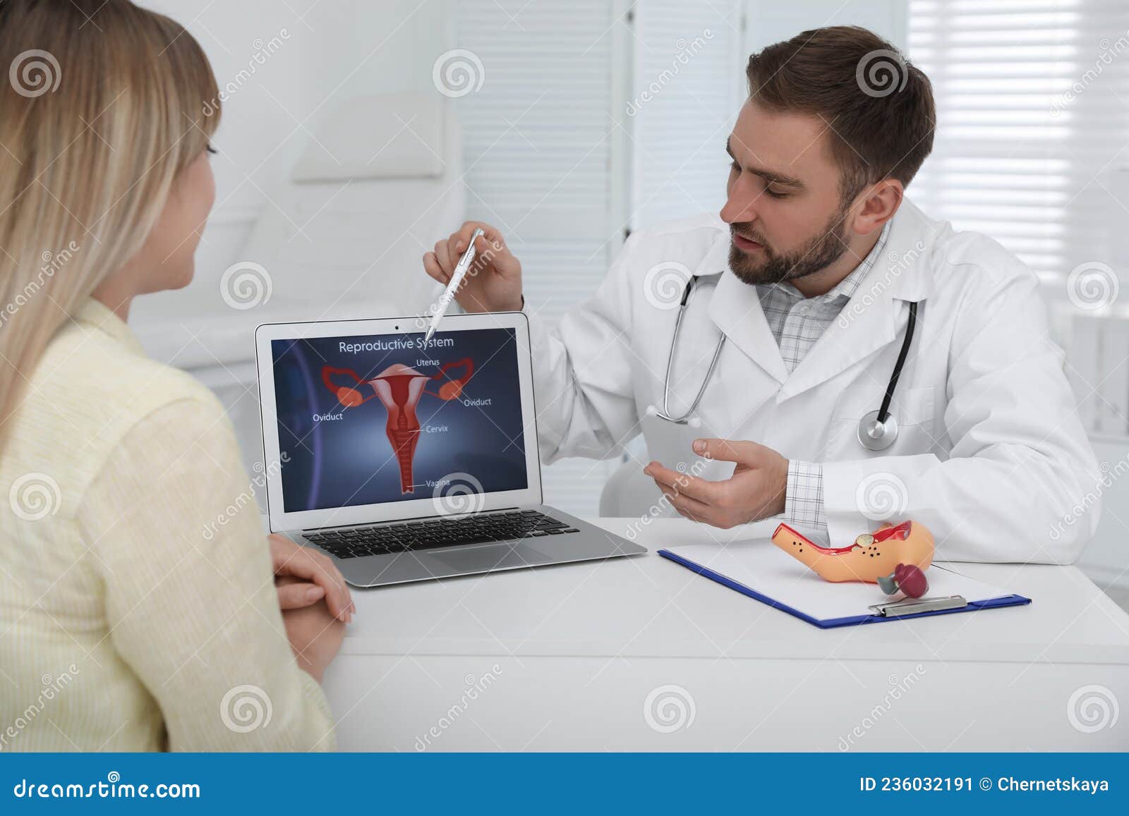 Gynecologist Showing Picture Of Female Reproductive System To Young