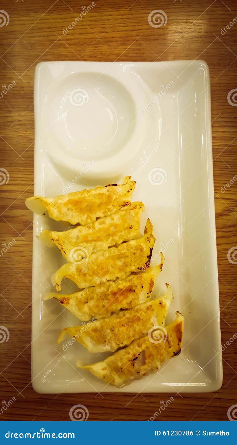 Gyoza stock photo. Image of cabbage, plate, steamed, pork - 61230786