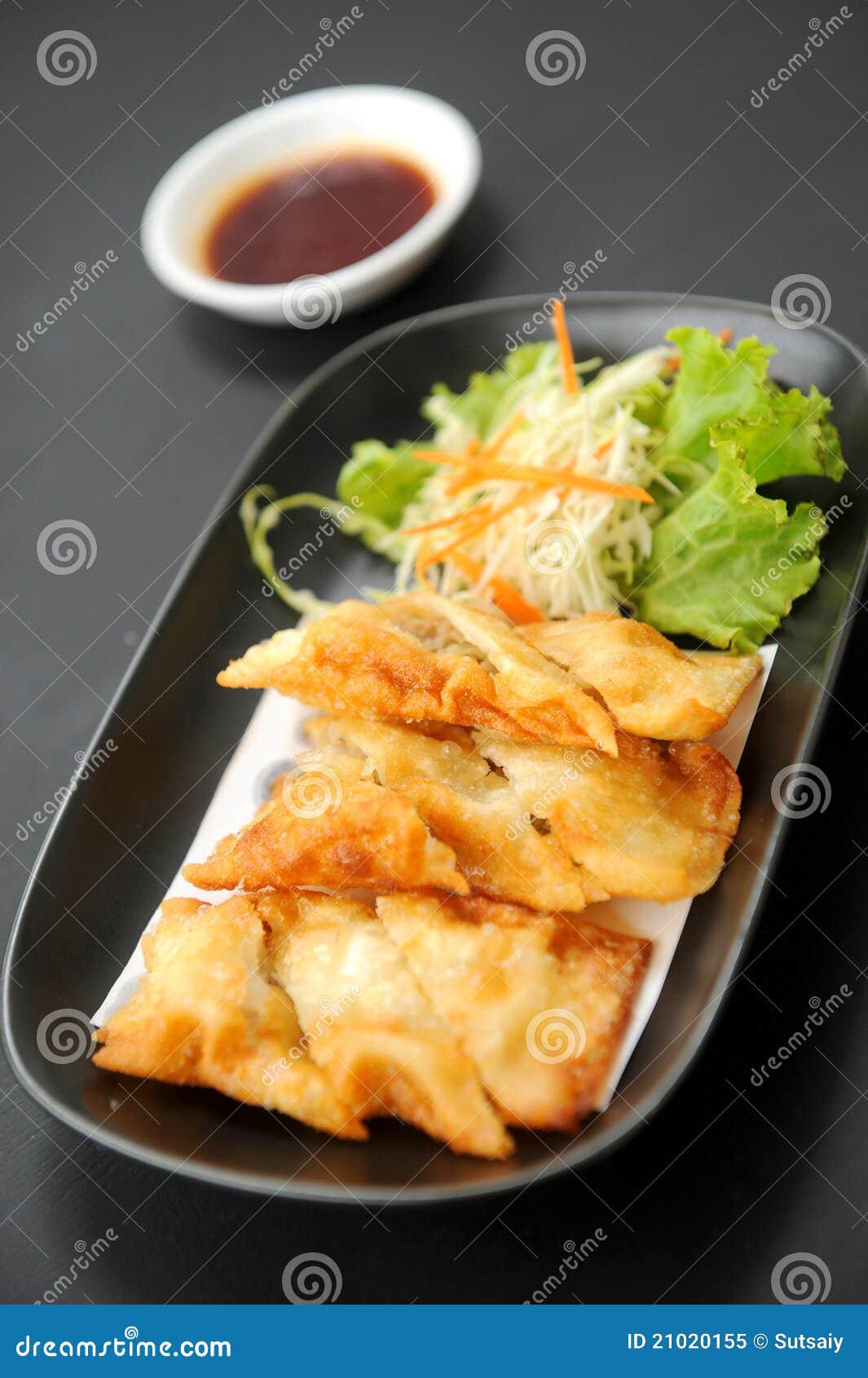 Gyoza sets stock image. Image of appetizer, japanese - 21020155