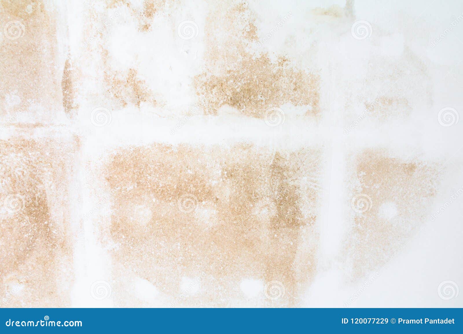 Gypsum Ceiling Inside Damaged by Mildew Stock Image - Image of damage ...