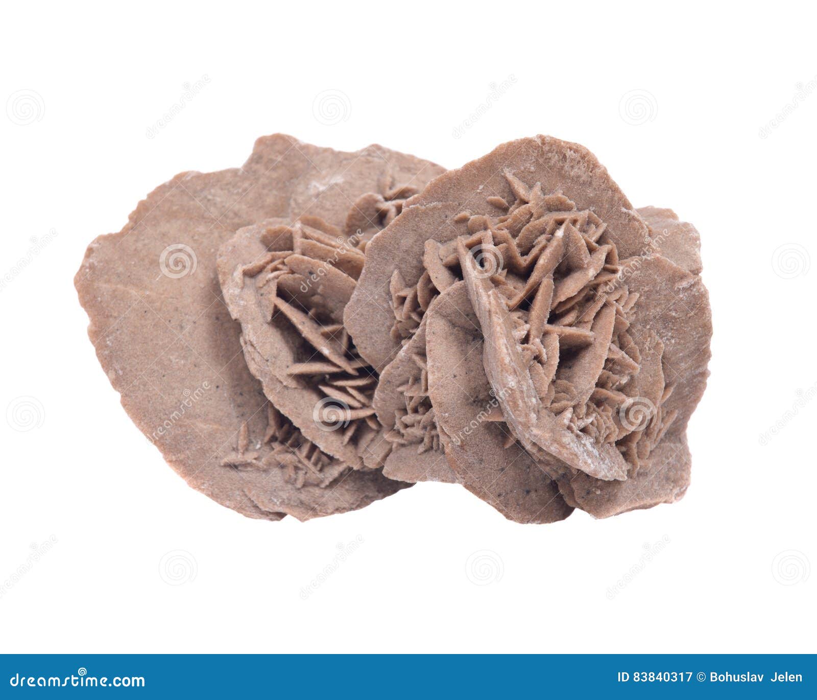 Gypsum desert sand rose stock image. Image of background - 83840317