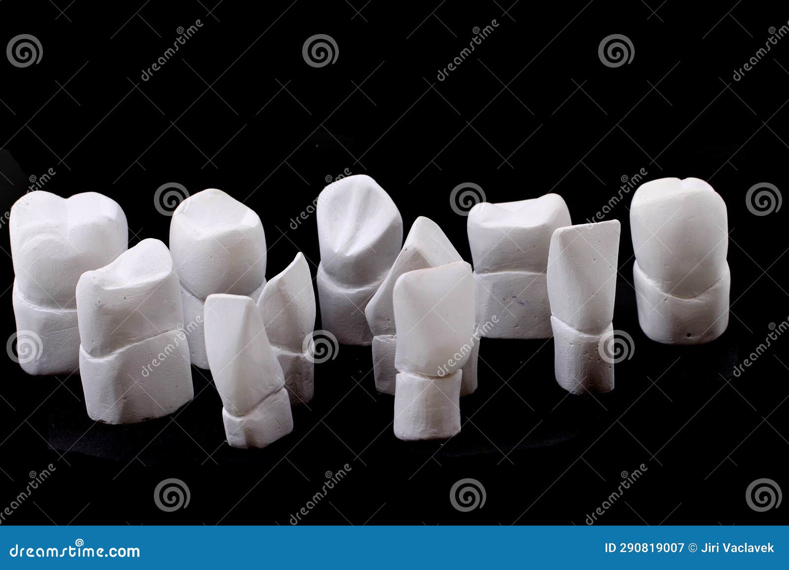 Gypsum teeth model stock image. Image of dentistry, model - 290819007
