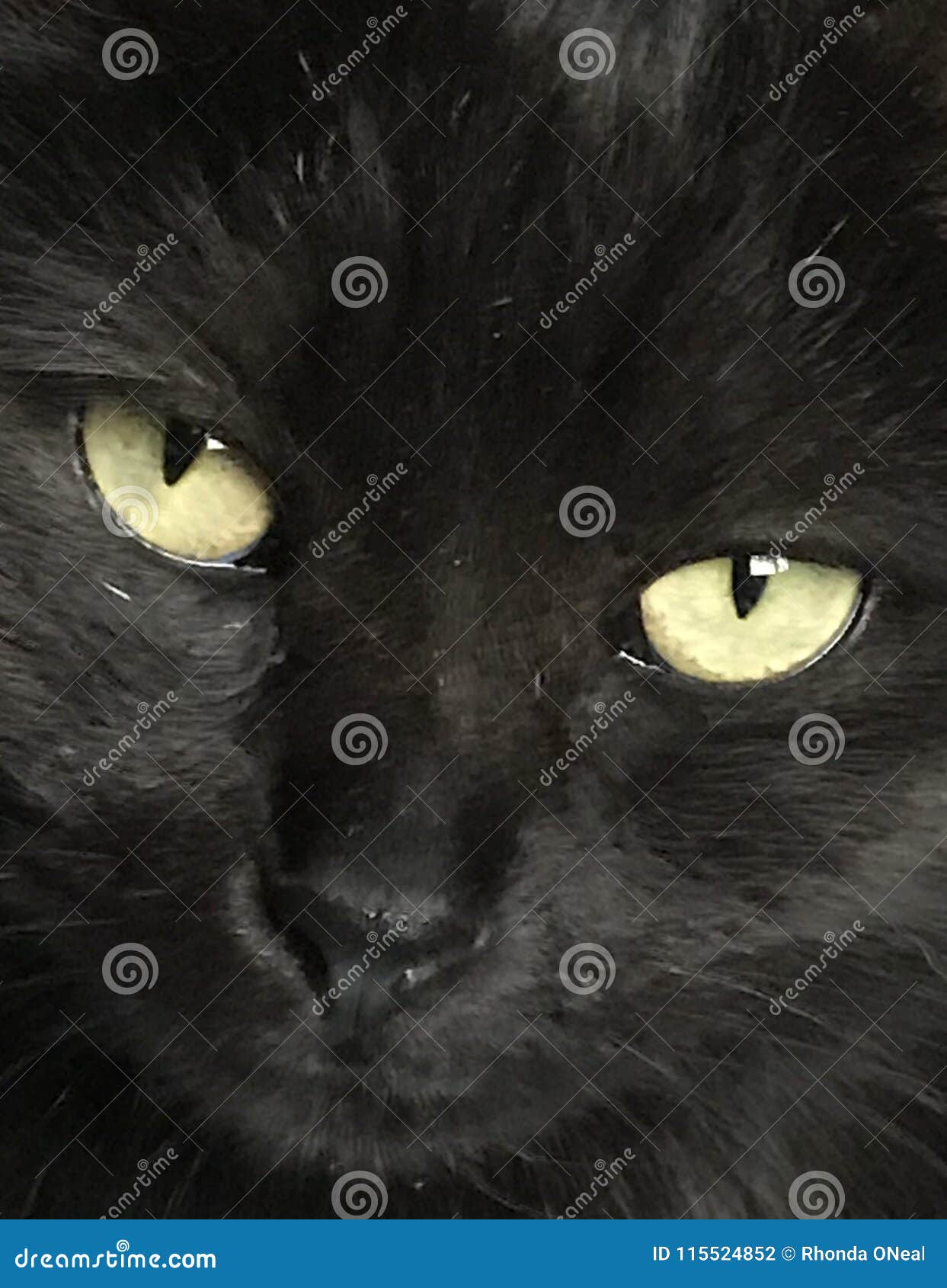 Gypsy eyes stock photo. Image of mesmerizing, eyes, gypsy - 115524852