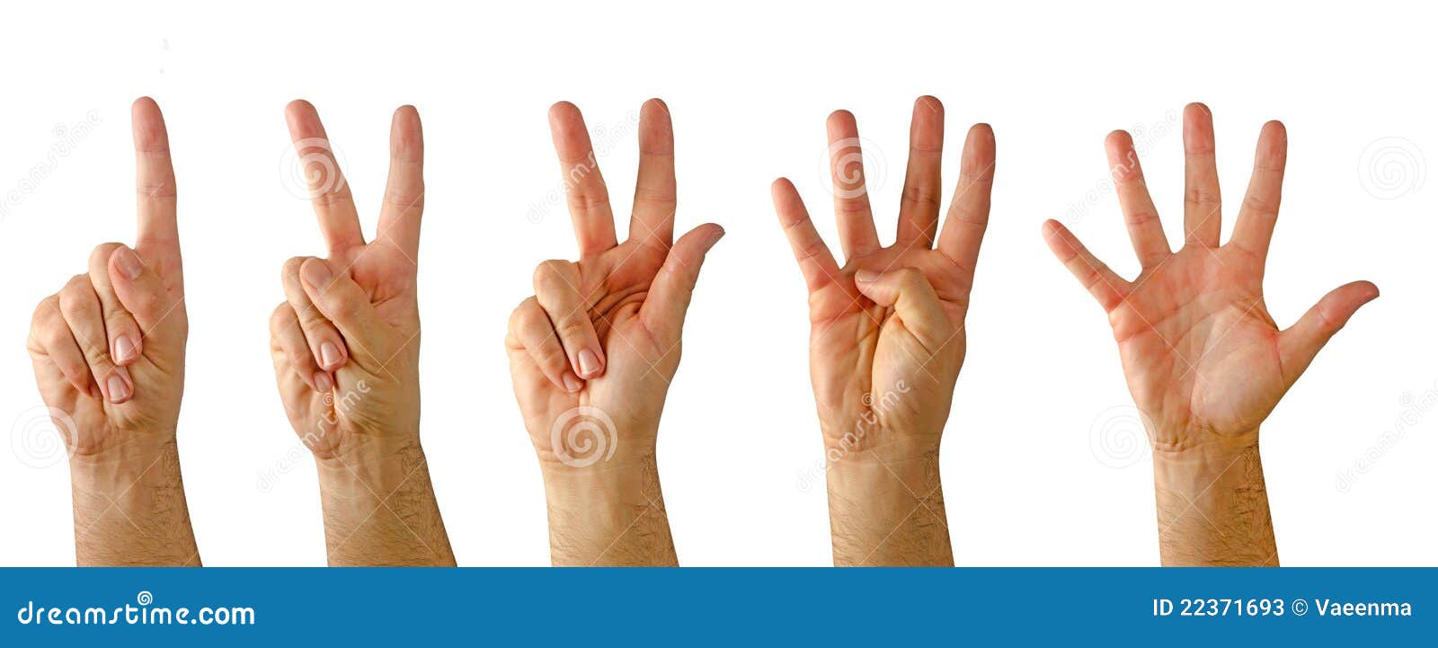 Hände, die Zahlen zeigen stockbild. Bild von stummer - 22371693