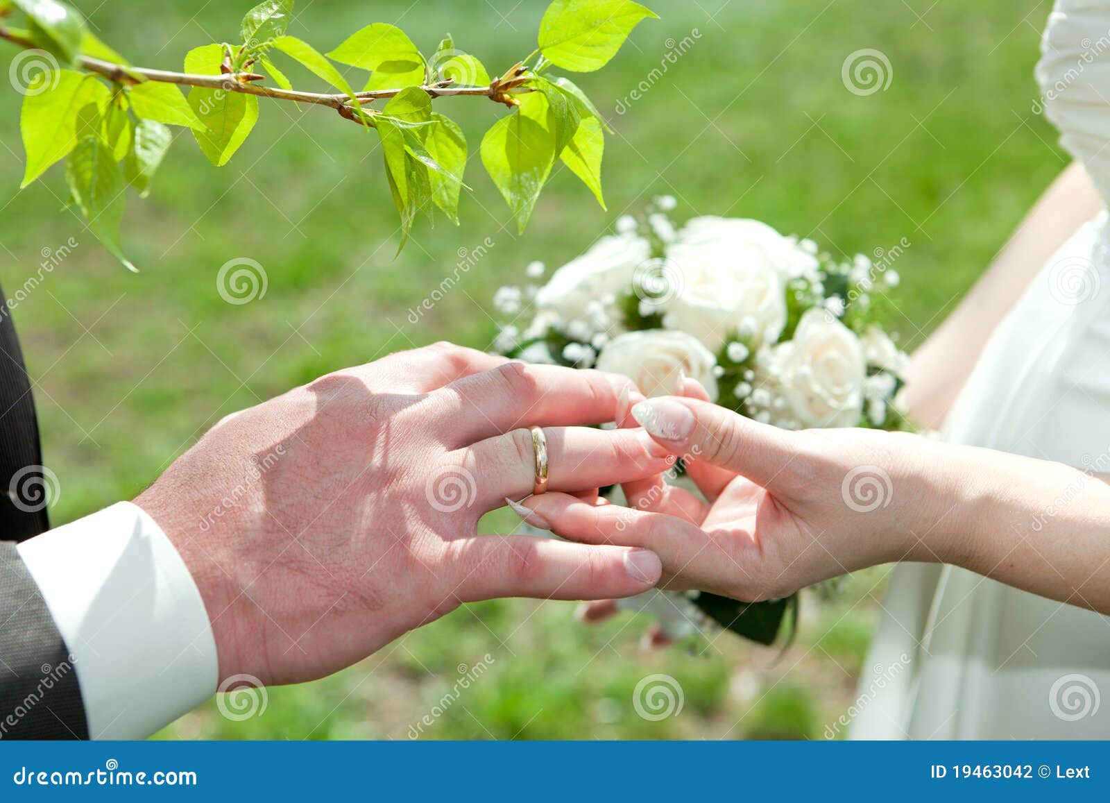 Hände mit Ringen stockfoto. Bild von nana, hand, menschlich - 19463042