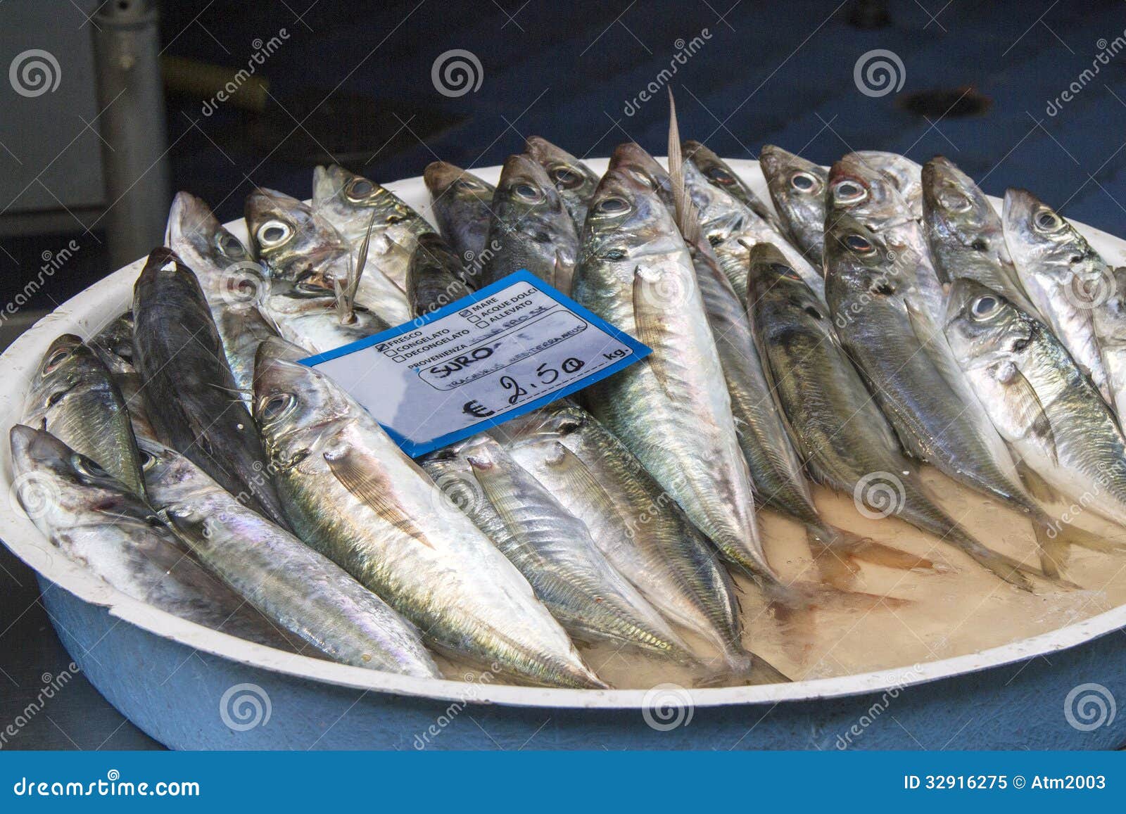 Häst - makrill fotografering för bildbyråer. Bild av italienare - 32916275