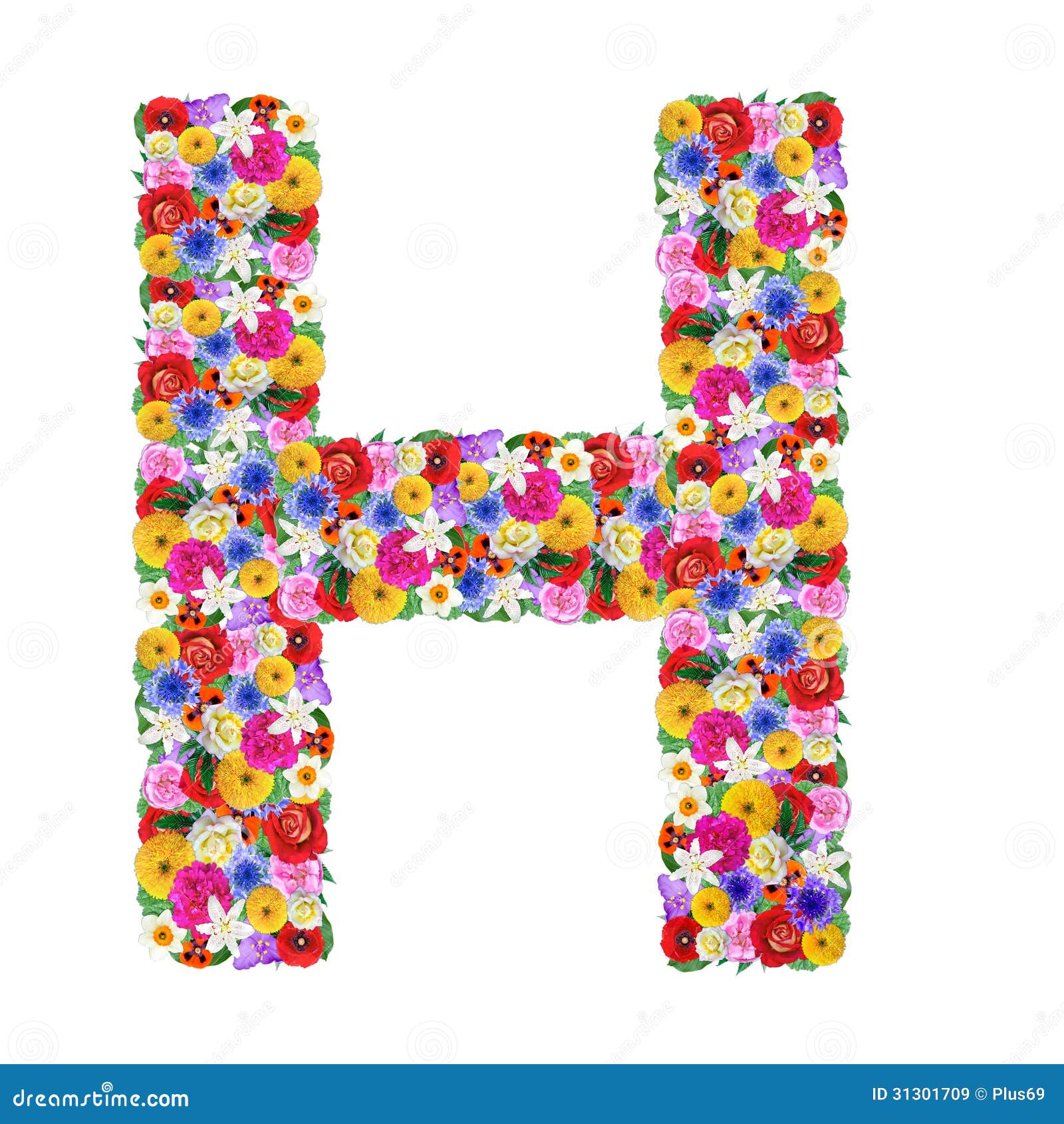H, Buchstabe Des Alphabetes in Den Verschiedenen Blumen Stockbild ...