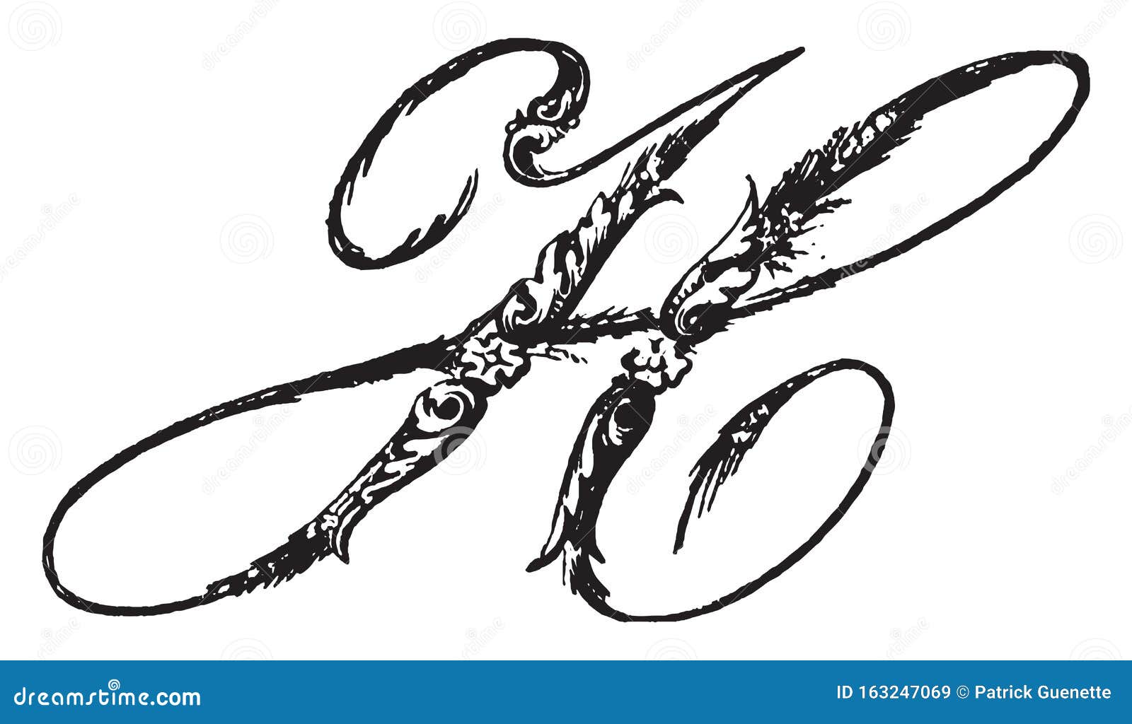 Fancy Calligraphy Letter H