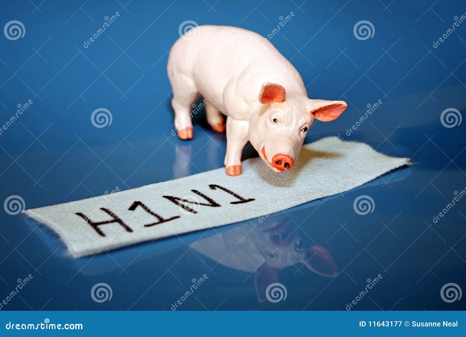 H1N1 or swine flu virus stock image. Image of headaches - 11643177