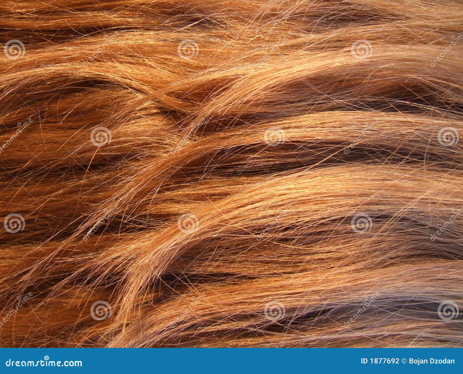 Haar - textuur stock foto. Image of kappers, achtergrond - 1877692