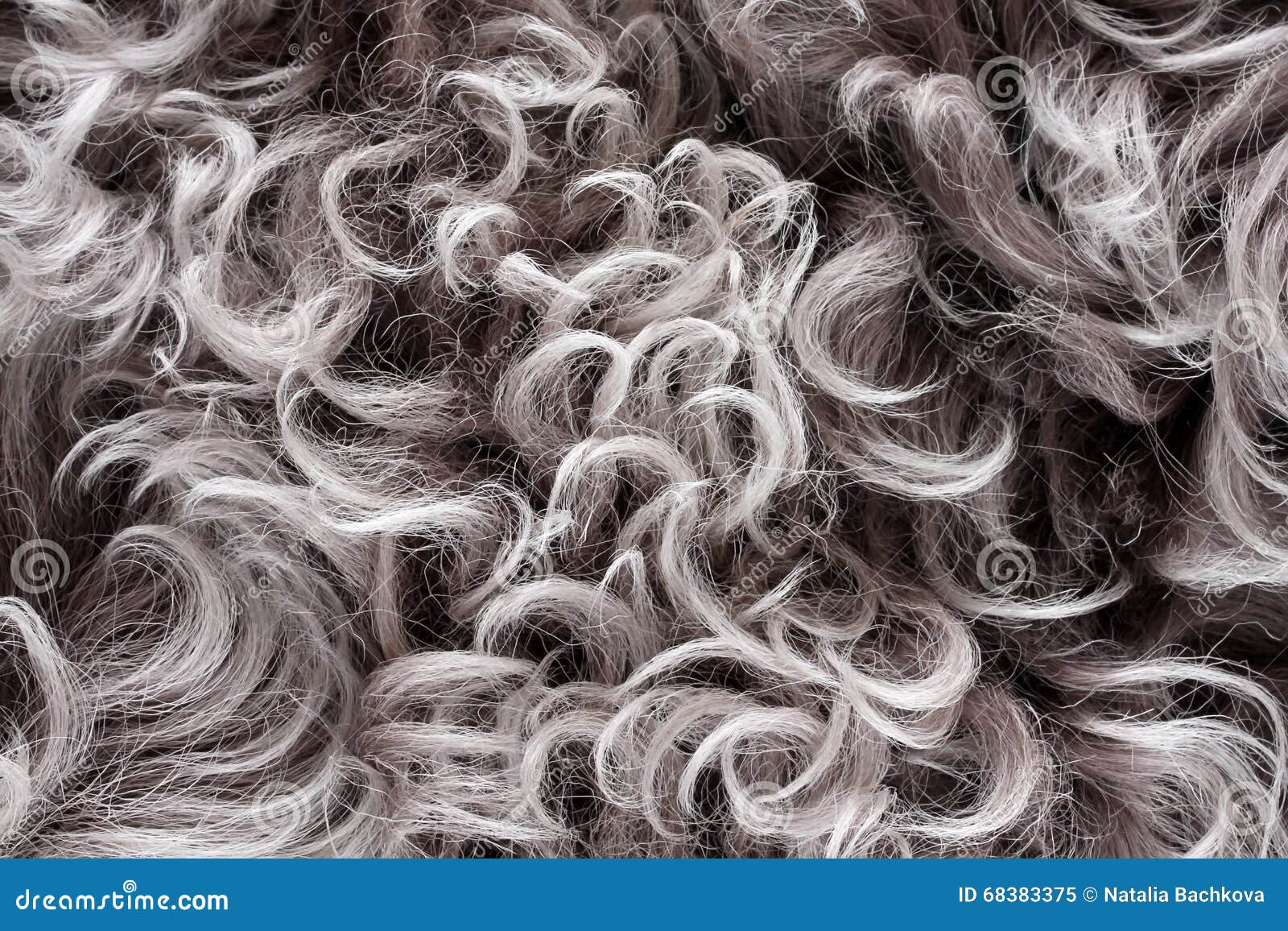 Haar Und Pelz Mit Dem Tier Die Ziege Stockbild - Bild von nave ...