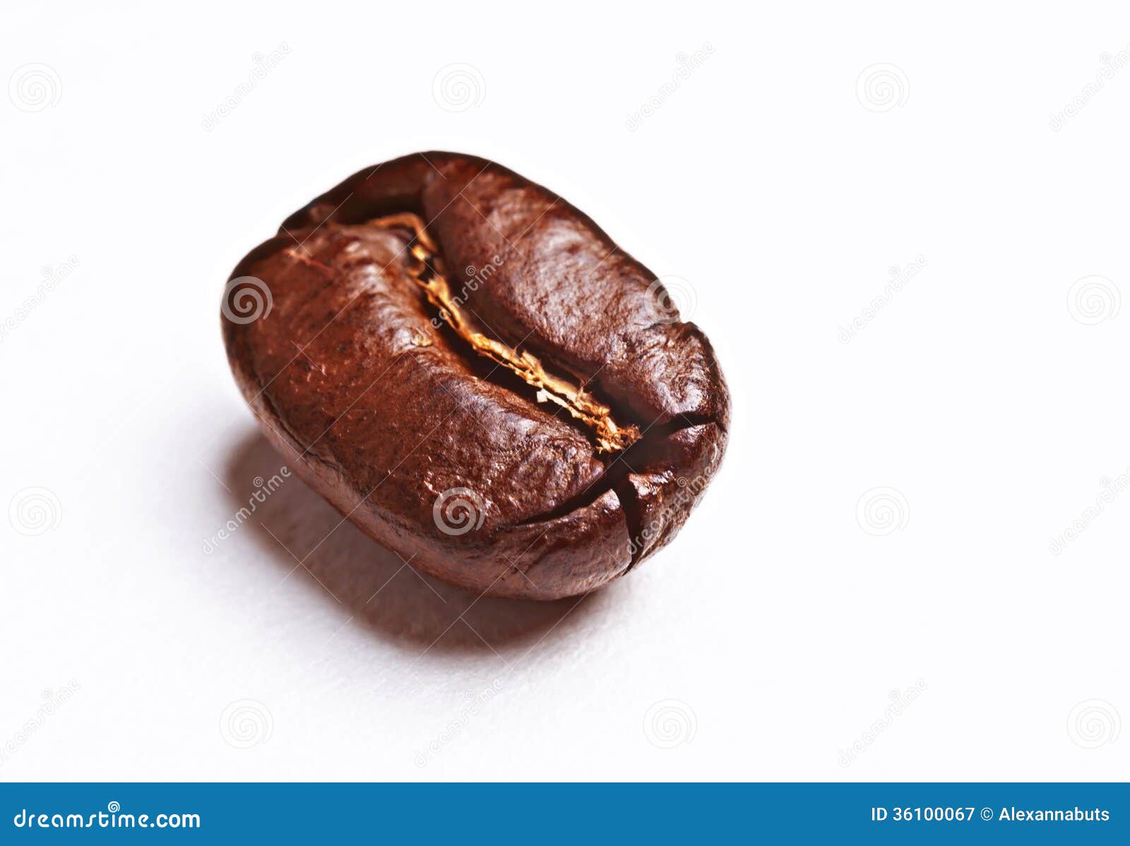 Haba asada café imagen de archivo. Imagen de alimento - 36100067