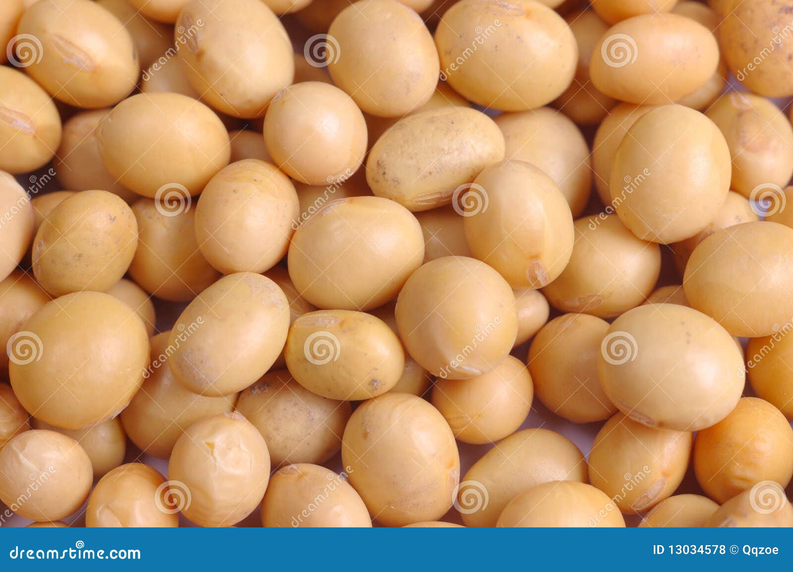 Haba de la soja foto de archivo. Imagen de dieta, habas - 13034578