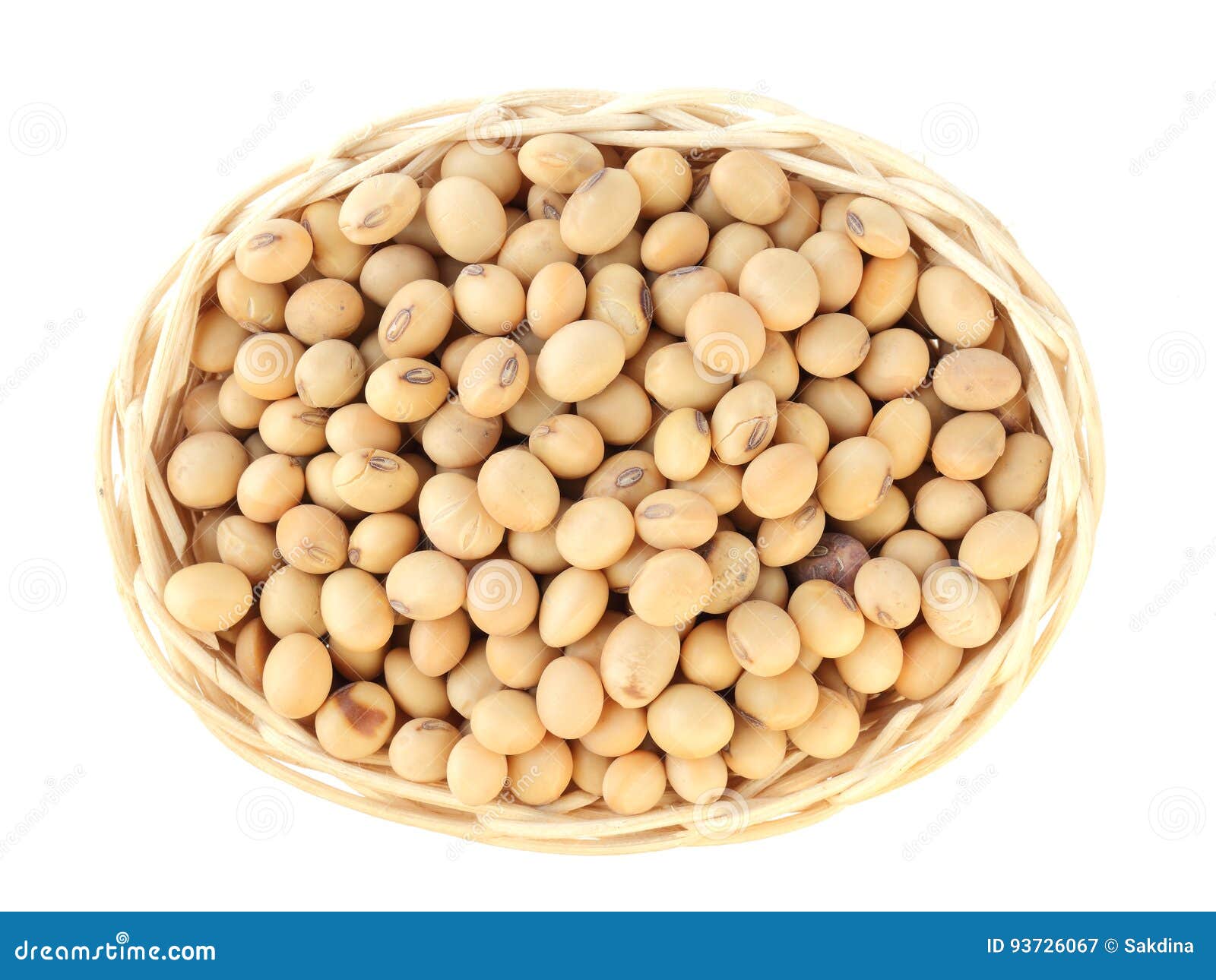 Haba de la soja imagen de archivo. Imagen de completo - 93726067