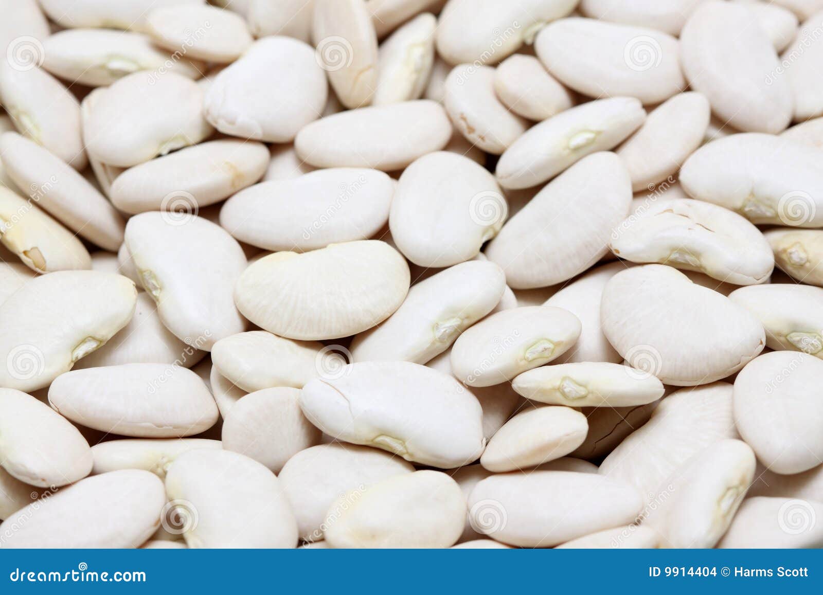 Haba de Lima foto de archivo. Imagen de mantequilla, vegano - 9914404