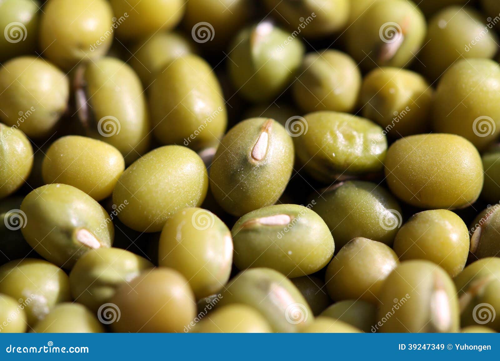 Haba de Mung imagen de archivo. Imagen de cosechas, calor - 39247349