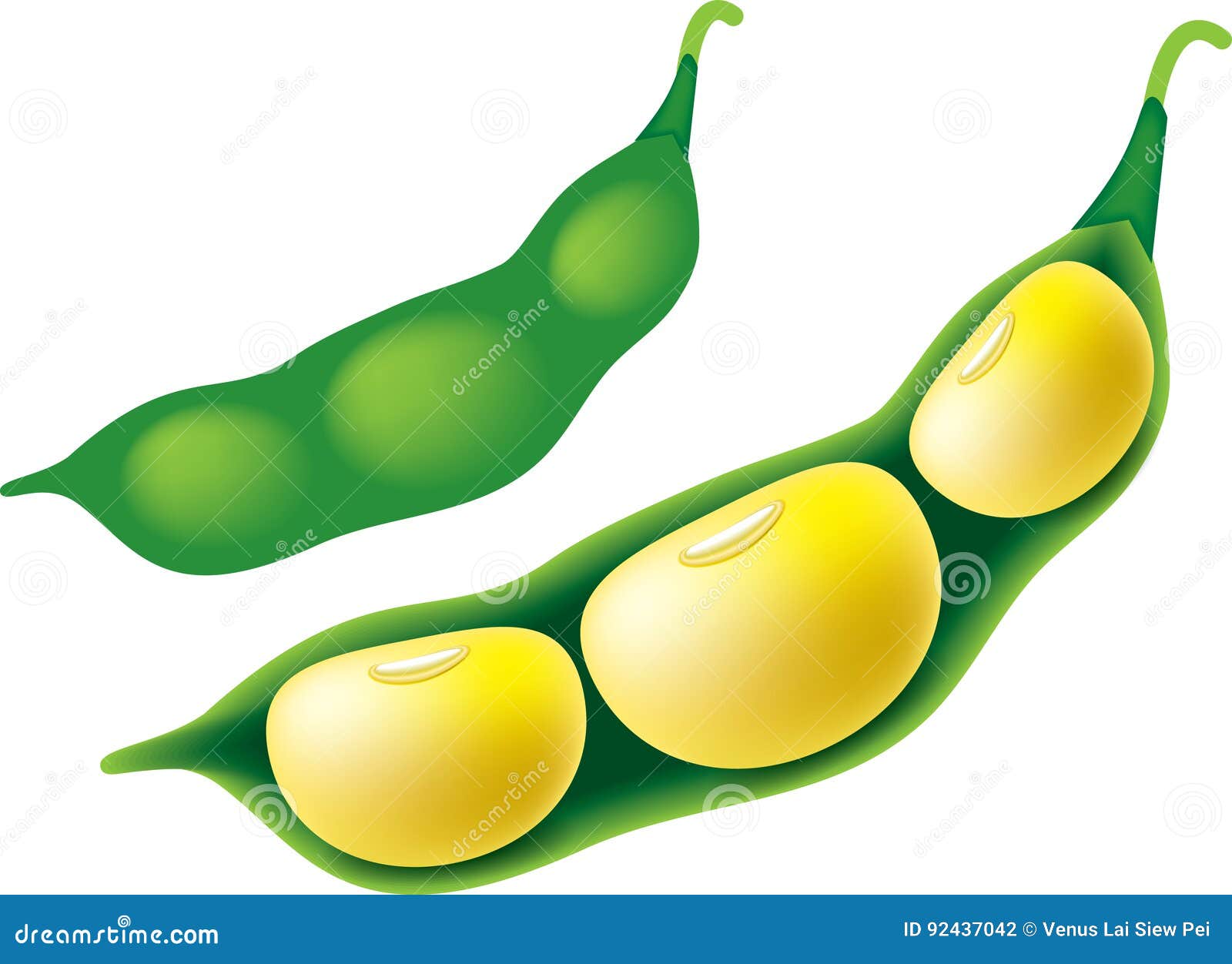 Haba Ilustraciones Stock, Vectores, Y Clipart – (33,064 Ilustraciones ...