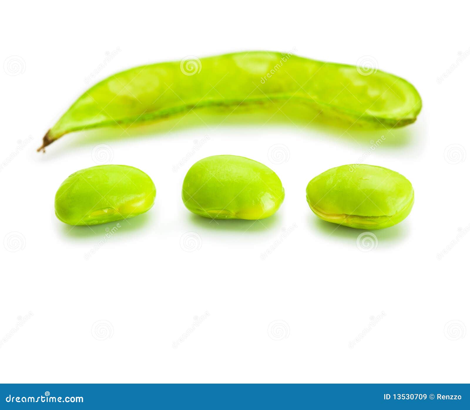 Haba Joven De La Soja Aislada En Blanco. Imagen de archivo - Imagen de ...