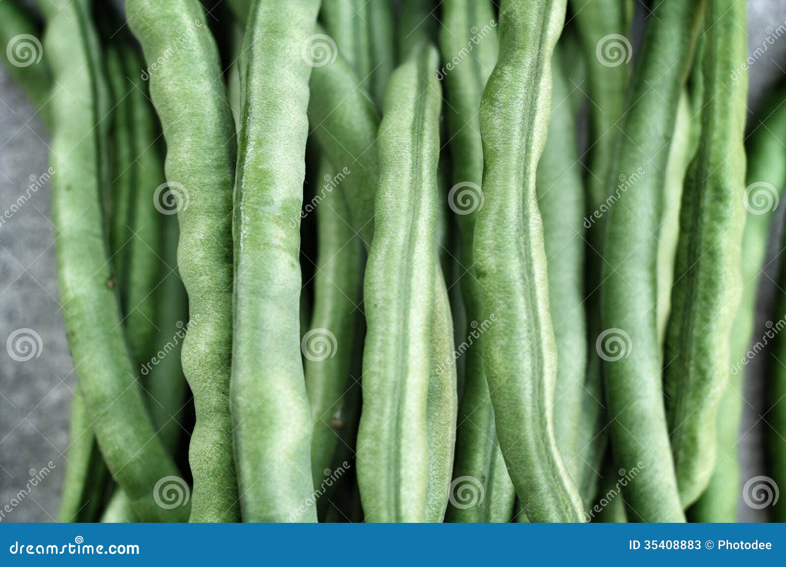 Haba larga imagen de archivo. Imagen de hierro, haba - 35408883