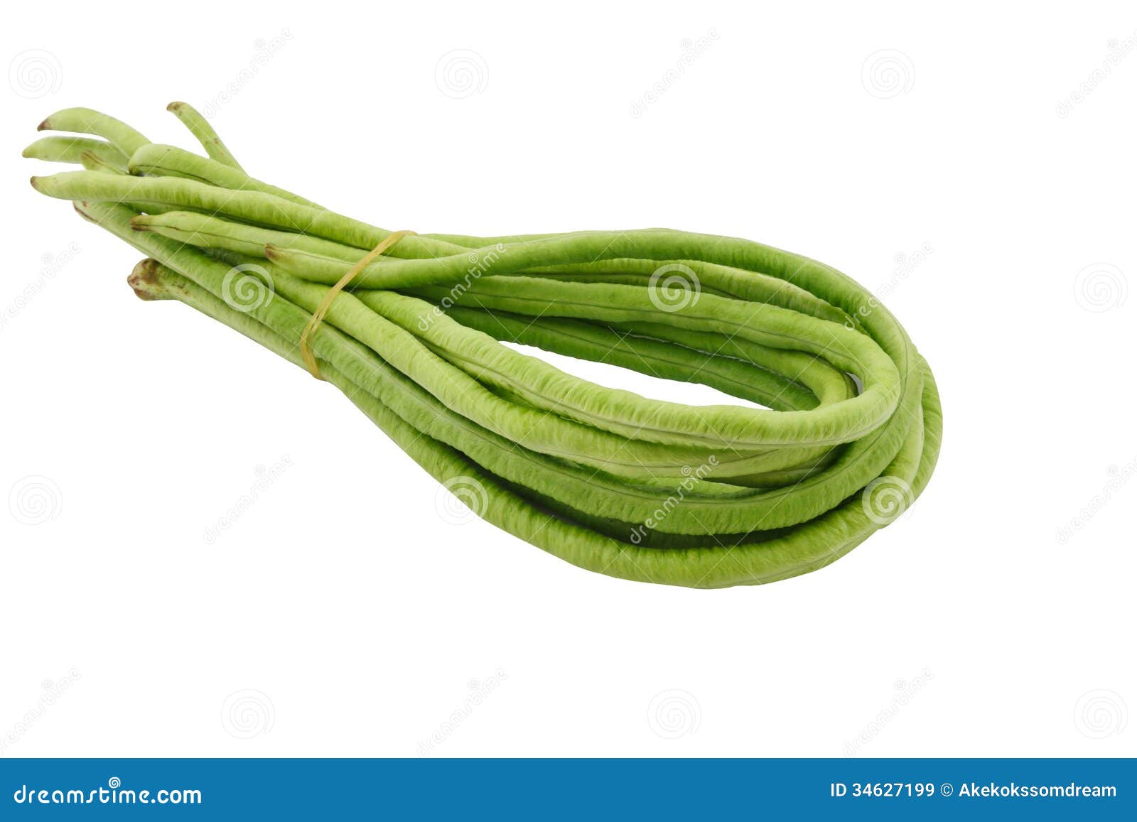 Haba Larga Aislada En El Fondo Blanco Imagen de archivo - Imagen de ...