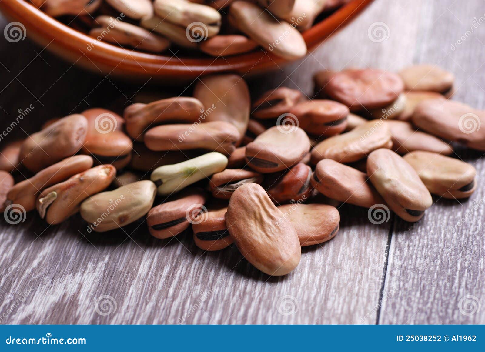 Haba seca foto de archivo. Imagen de agricultura, cubo - 25038252