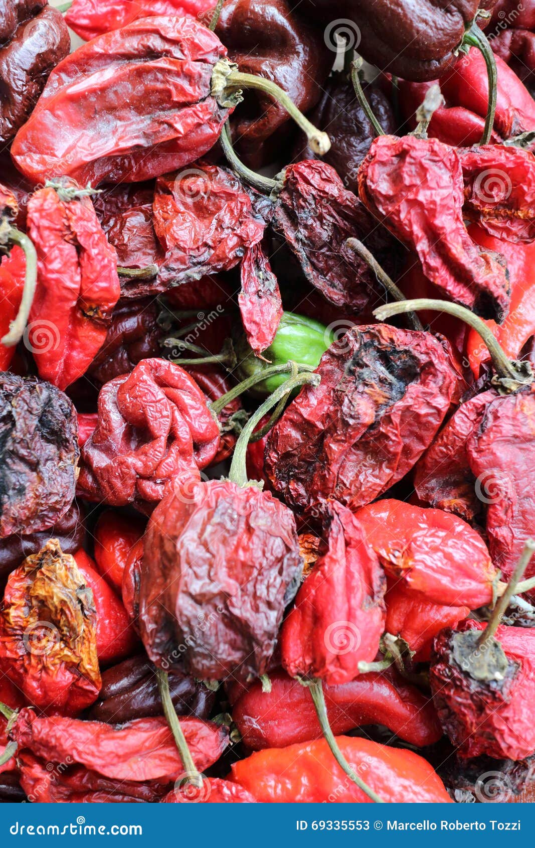 Habanero chilly pepper stock image. Image of flavor, color - 69335553