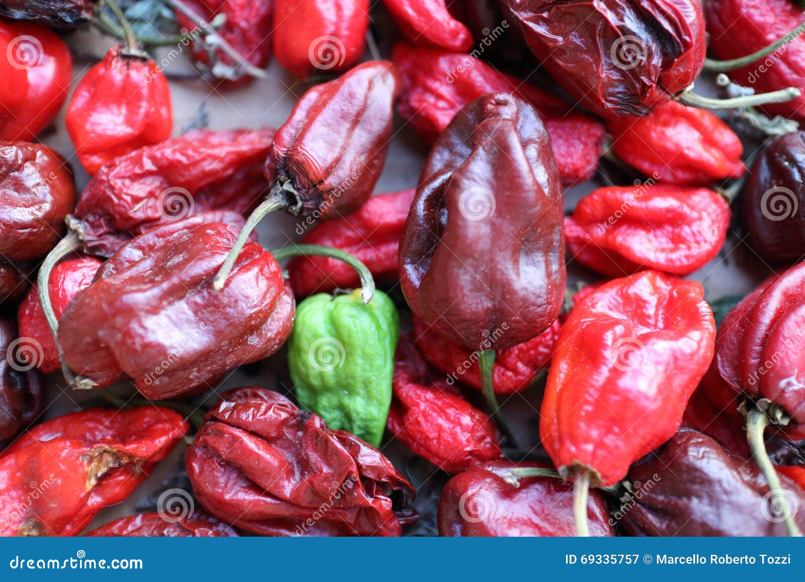 Habanero chilly pepper stock image. Image of freshness - 69335757