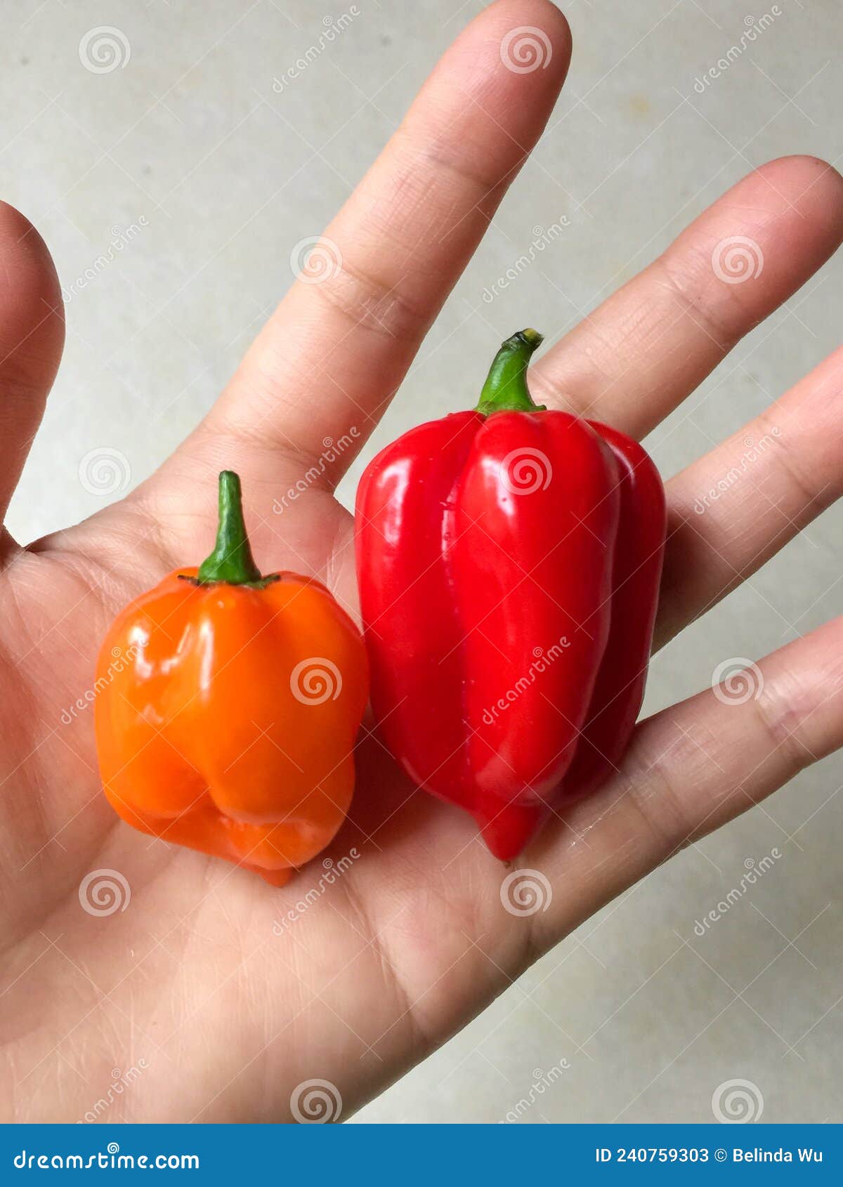 Red Habanero Pepper, Half Of Red Habanero Pepper, Slice, Isolated On ...