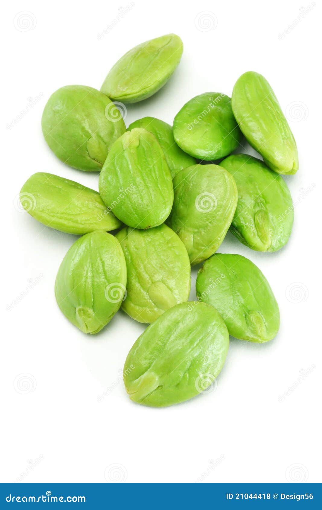 Habas Comestibles Que Apestan Tropicales Foto de archivo - Imagen de ...