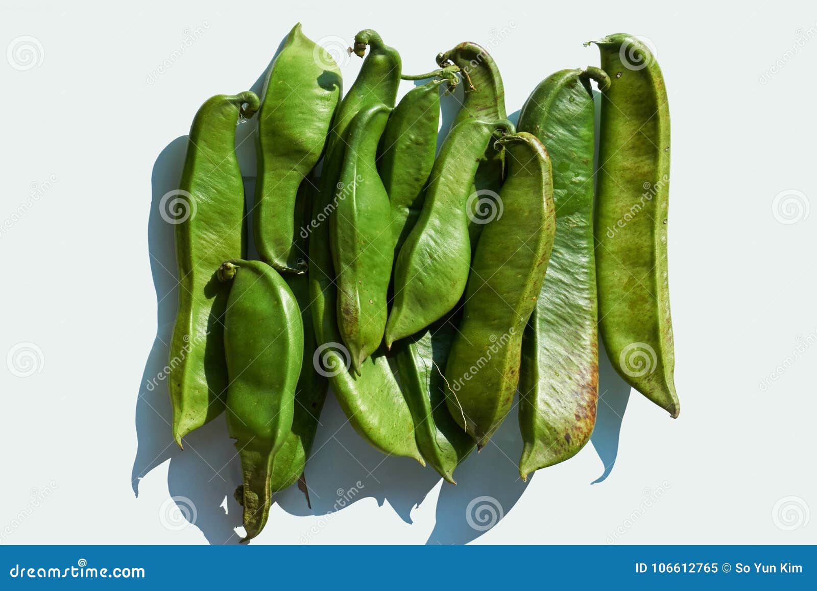 Habas De Espada Aisladas En Un Fondo Blanco Imagen de archivo - Imagen ...