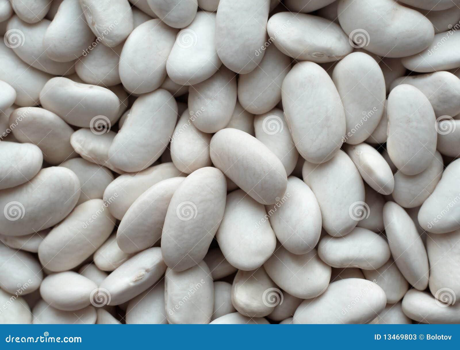 Habas de Lima. imagen de archivo. Imagen de seco, germen - 13469803