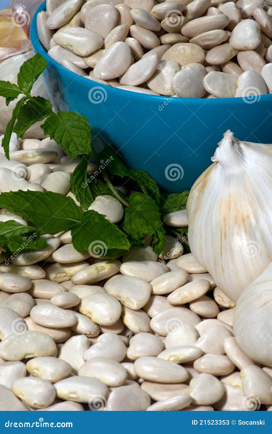 Habas de Lima grandes imagen de archivo. Imagen de lima - 21523353