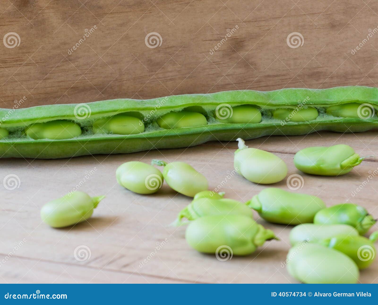 Habas de Seedcase Lima foto de archivo. Imagen de nutritivo - 40574734