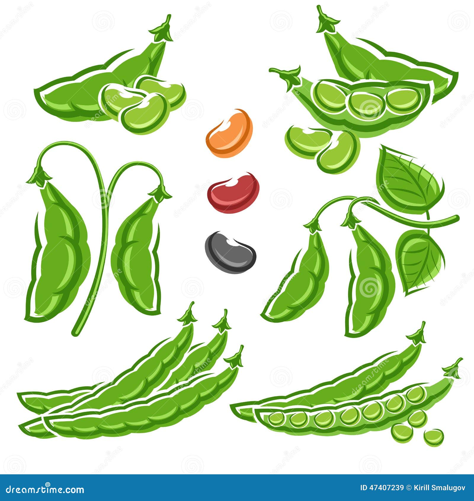 Habas fijadas Vector ilustración del vector. Ilustración de sano - 47407239