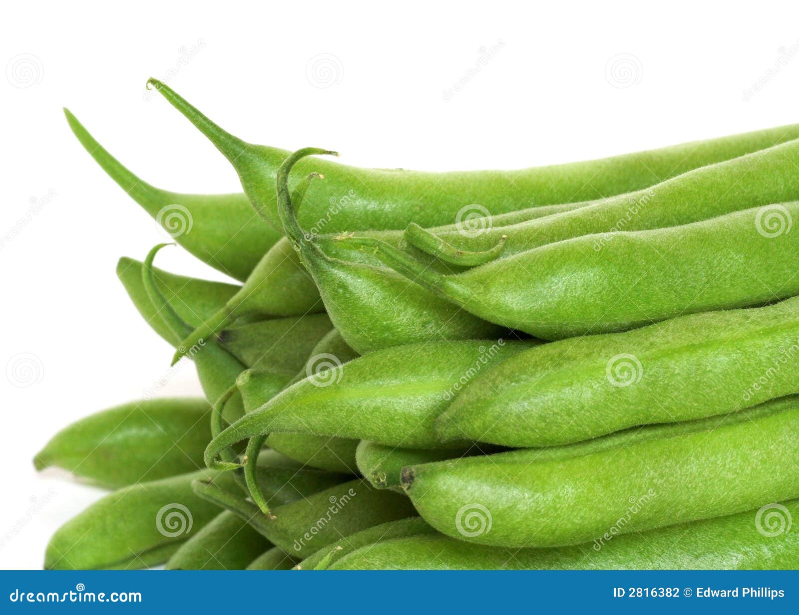 Habas verdes frescas foto de archivo. Imagen de blanco - 2816382