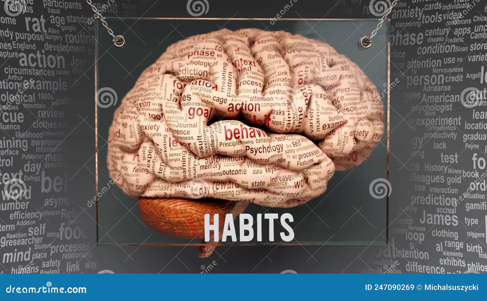 Habits And Human Mind - Pictured As Word Habits Inside A Head To ...
