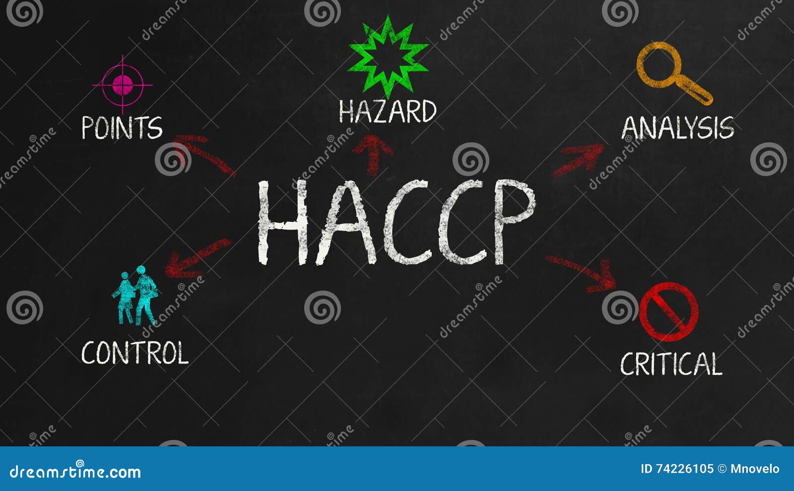 HACCP stock illustration. Illustration of haccp, points - 74226105