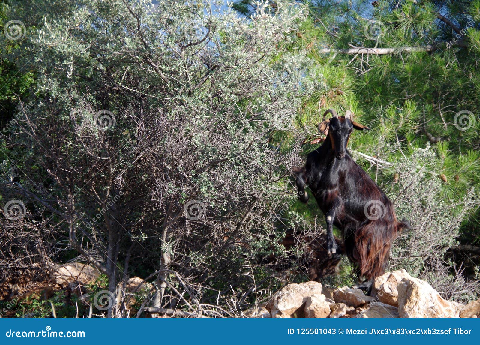 Hacer frente al peligro imagen de archivo. Imagen de color - 125501043