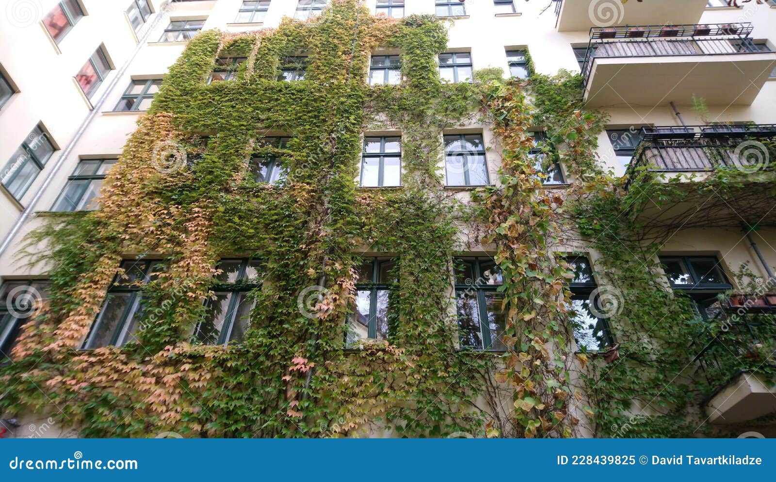 Hack Courtyards in Berlin City in Germany Stock Image - Image of ...