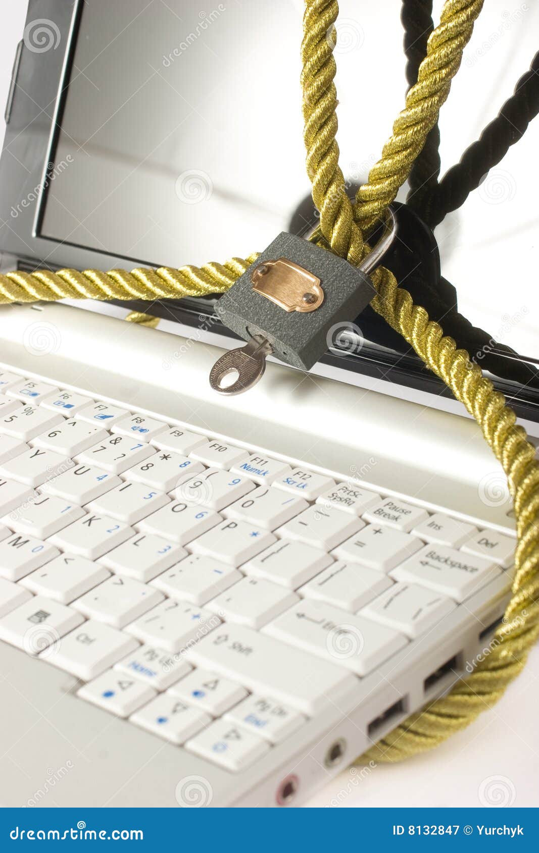 Hacker safe stock image. Image of encryption, access, laptop - 8132847