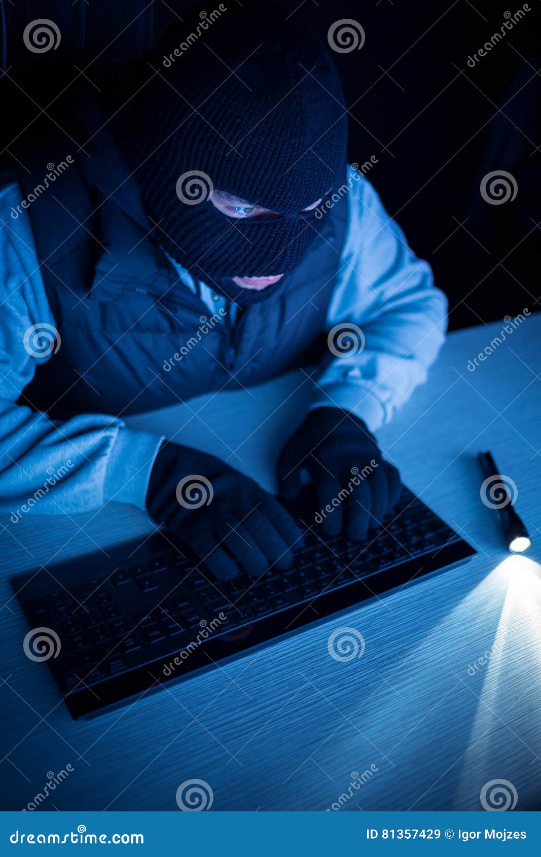 Hacker Typing On Keyboard Stock Image Image Of Internet 81357429