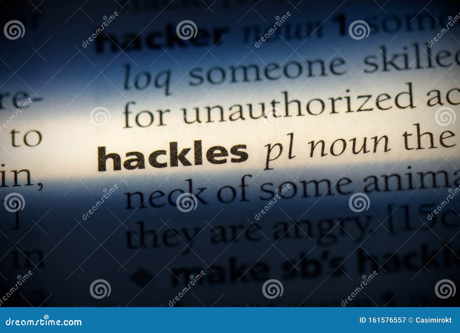 Hackles Stock Photos - Download 276 Royalty Free Photos