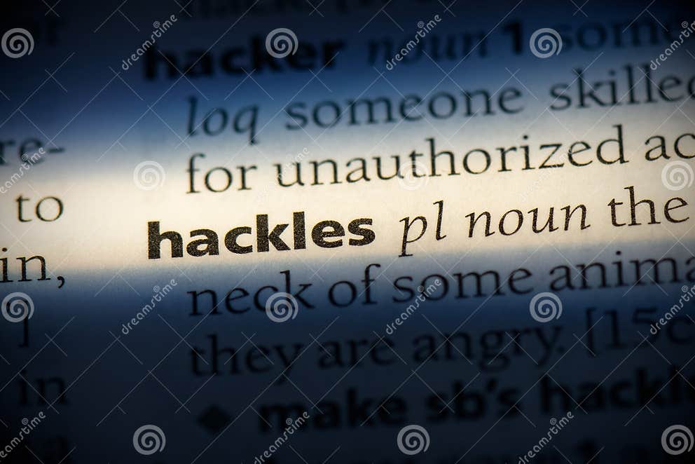 Hackles stock image. Image of learn, linguistic, meaning - 161576557