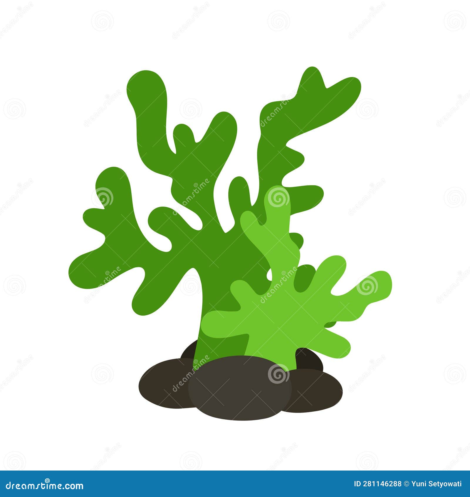 Algae Plant Clipart