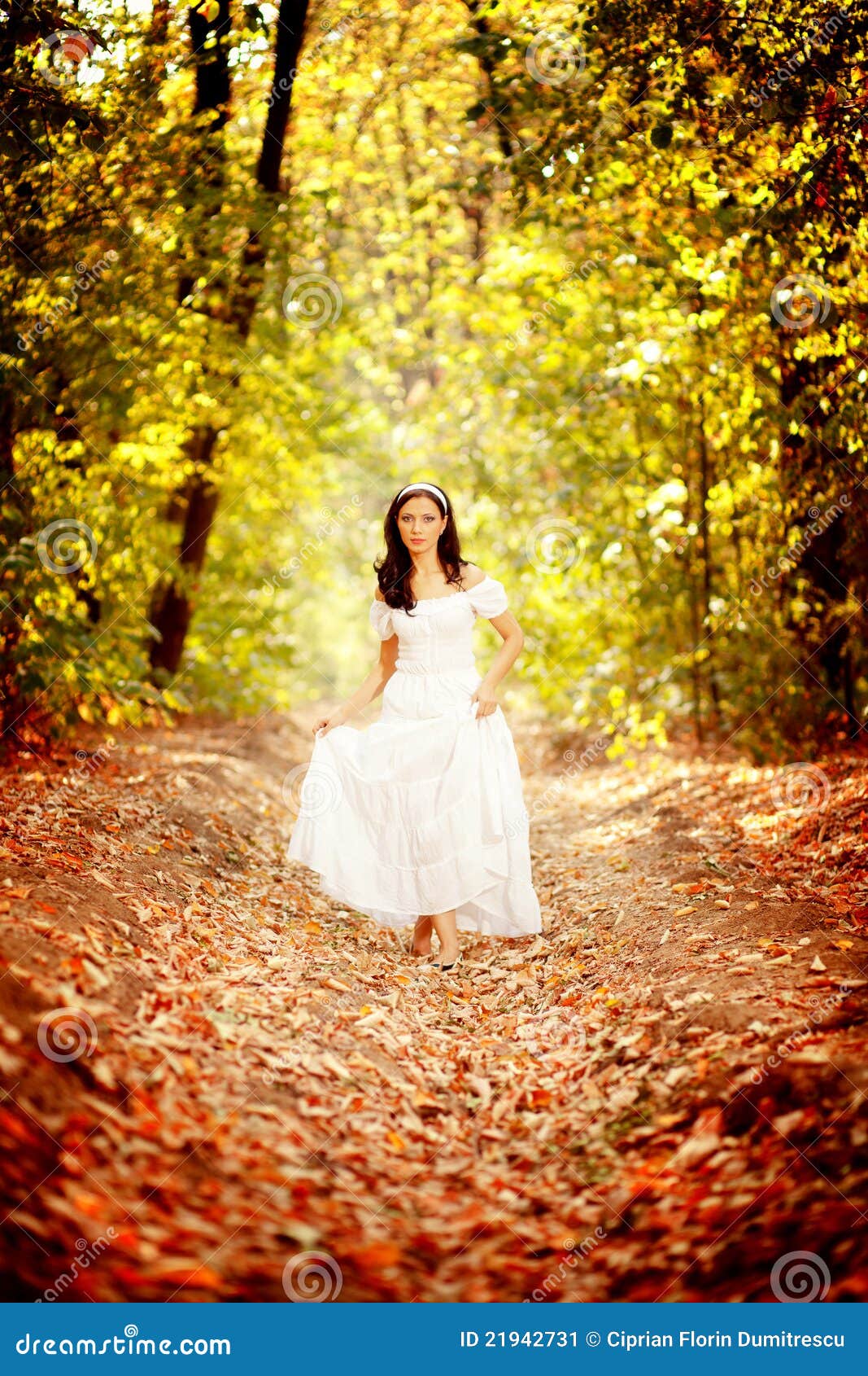 Hada del bosque imagen de archivo. Imagen de manera, cuento - 21942731